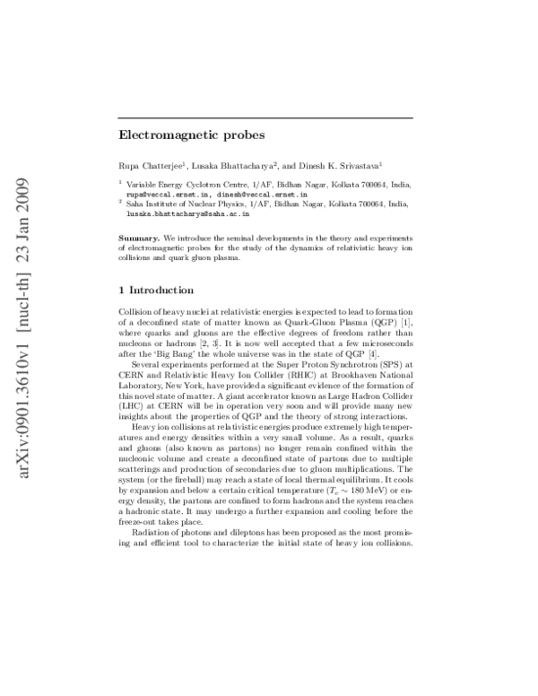 (PDF) Electromagnetic Probes