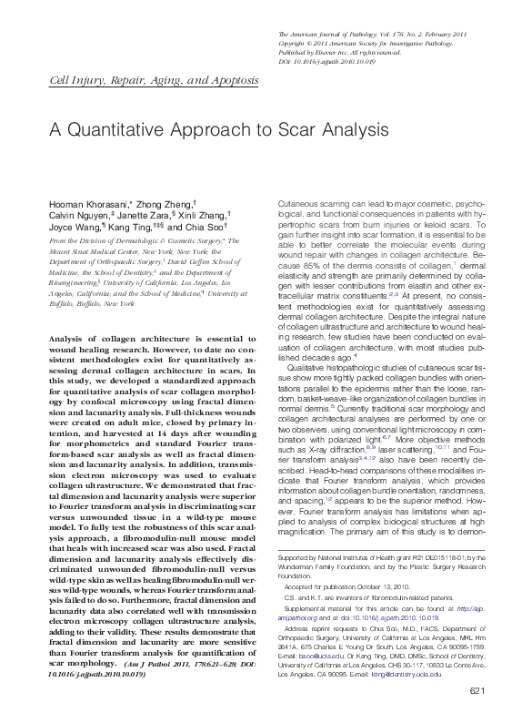 (PDF) A Quantitative Approach to Scar Analysis