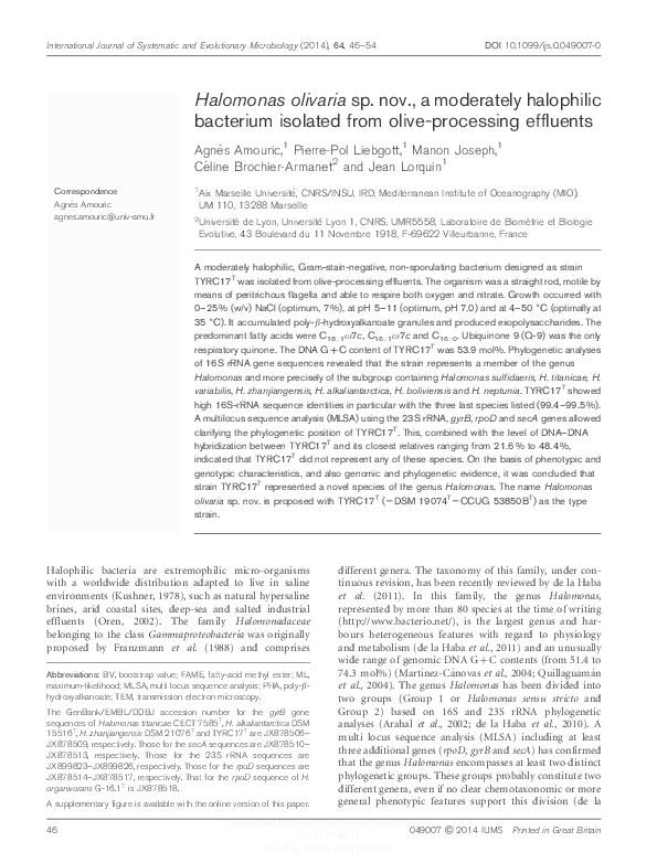 (PDF) Halomonas olivaria sp. nov., a moderately halophilic bacterium isolated from olive ...