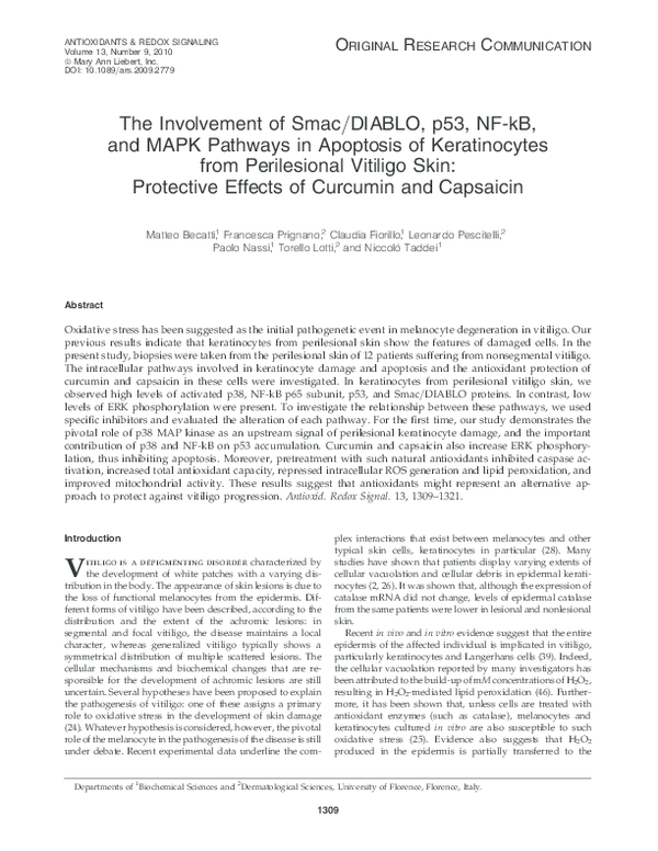 (PDF) The Involvement of Smac/DIABLO, p53, NF-kB, and MAPK Pathways in ...