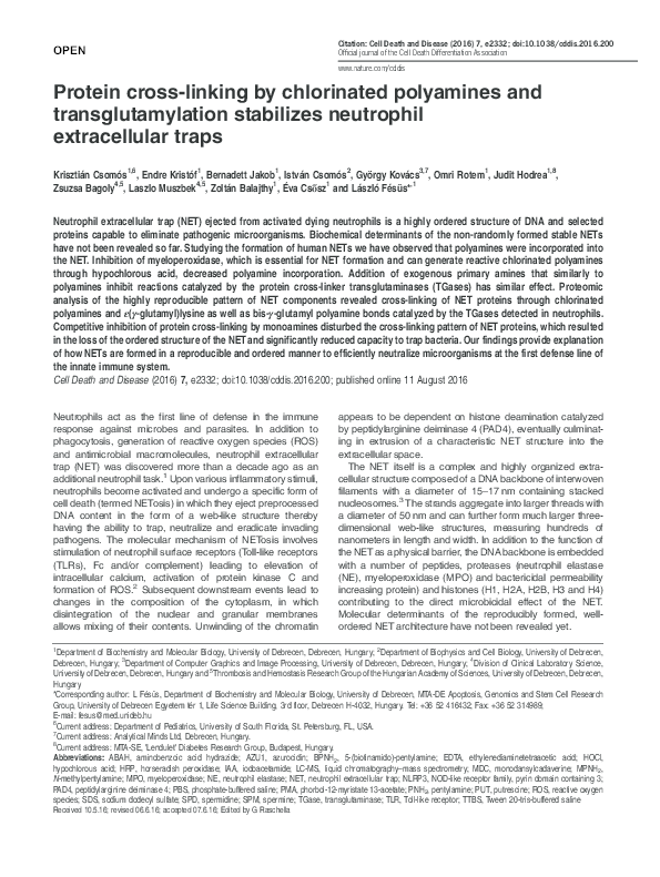 (PDF) Protein cross-linking by chlorinated polyamines and ...