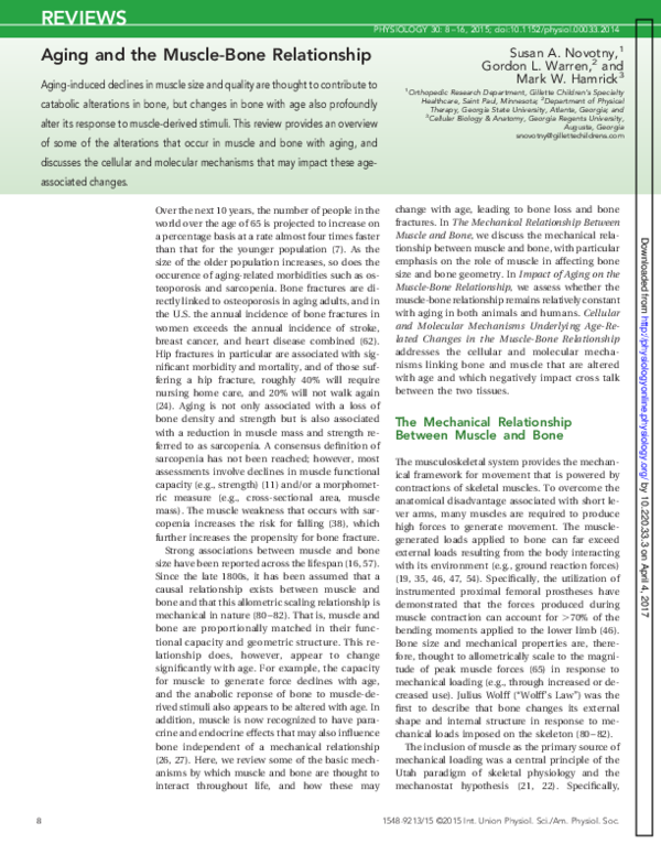 (PDF) Aging and the muscle-bone relationship