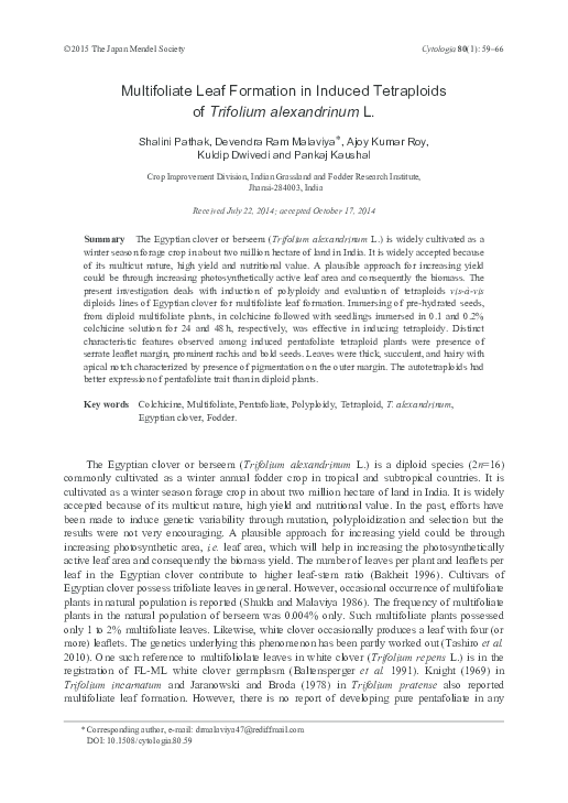 (PDF) Multifoliate Leaf Formation in Induced Tetraploids of Trifolium ...