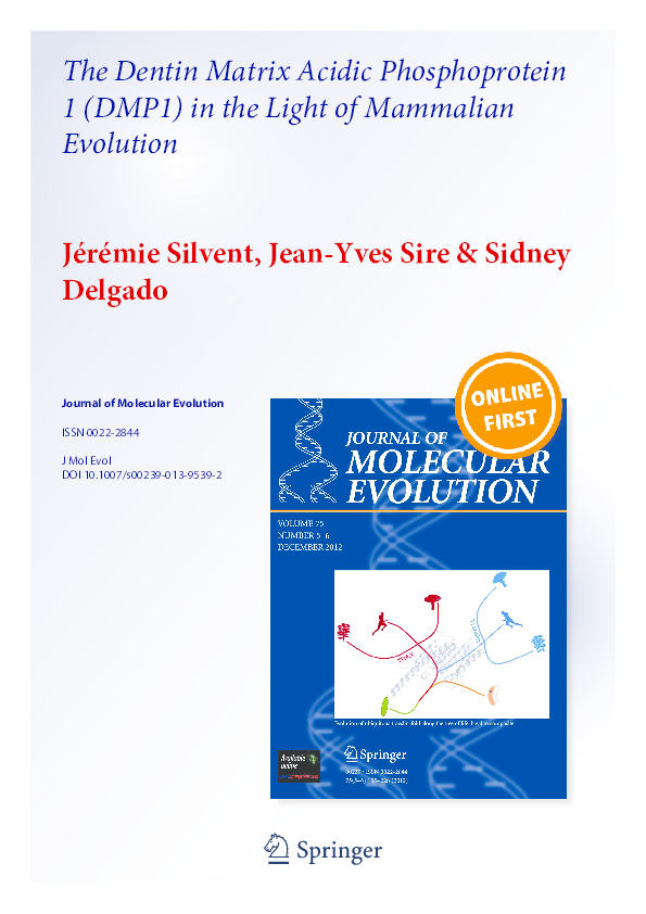 (PDF) The Dentin Matrix Acidic Phosphoprotein 1 (DMP1) in the Light of ...