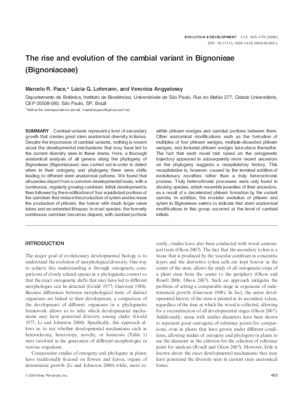 (PDF) The rise and evolution of the cambial variant in Bignonieae ...