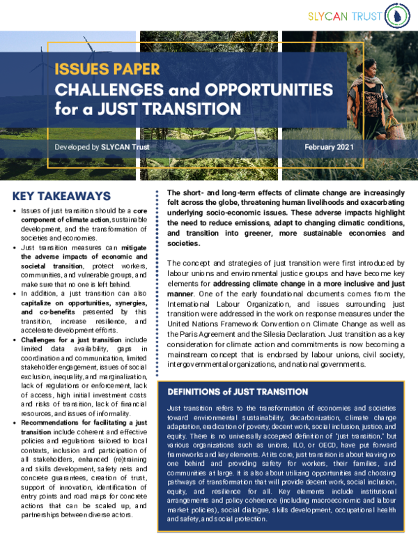 (PDF) Issues Paper on Challenges and Opportunities for a Just Transition