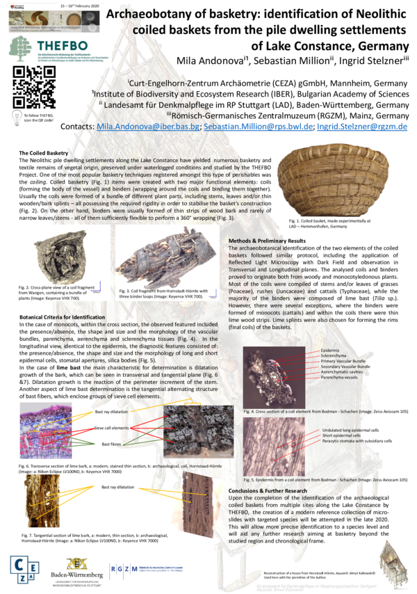 (PDF) Archaeobotany of basketry: identification of Neolithic coiled ...
