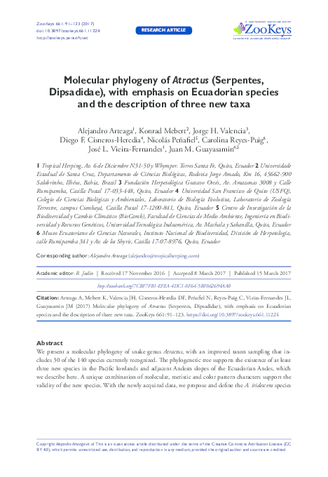 (PDF) Molecular phylogeny of Atractus (Serpentes, Dipsadidae), with ...