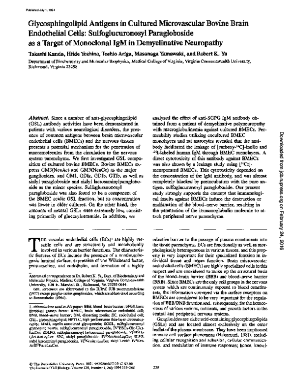 (PDF) Glycosphingolipid Antigens in Cultured Microvascular Bovine Brain ...