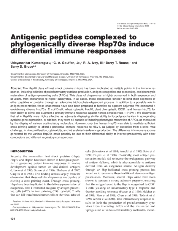 (PDF) Antigenic peptides complexed to phylogenically diverse Hsp70s ...