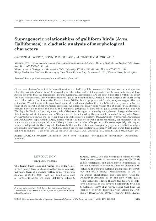 (PDF) Suprageneric relationships of galliform birds (Aves, Galliformes ...