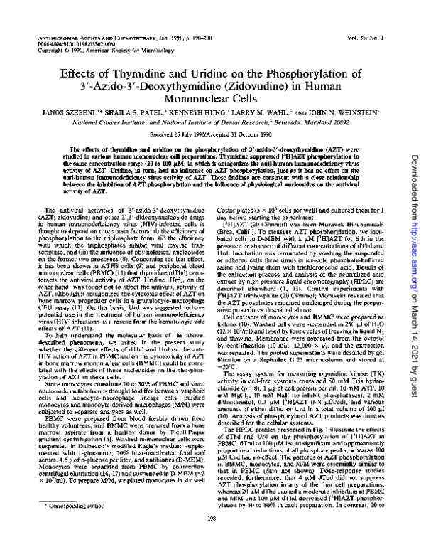 (PDF) Effects of thymidine and uridine on the phosphorylation of 3 ...