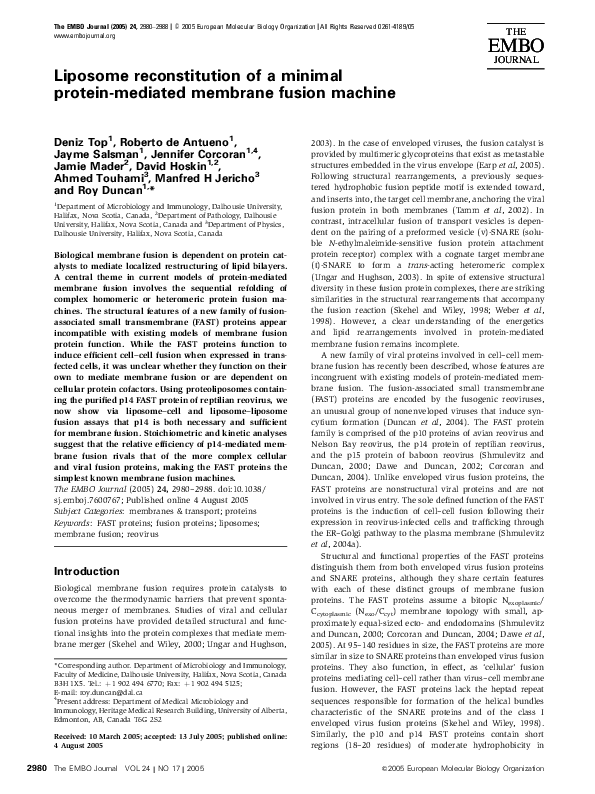 (PDF) Liposome reconstitution of a minimal protein-mediated membrane ...