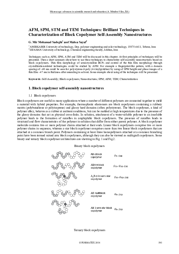 (PDF) AFM, SPM, STM and TEM Techniques: Brilliant Techniques in Characterization of Block ...