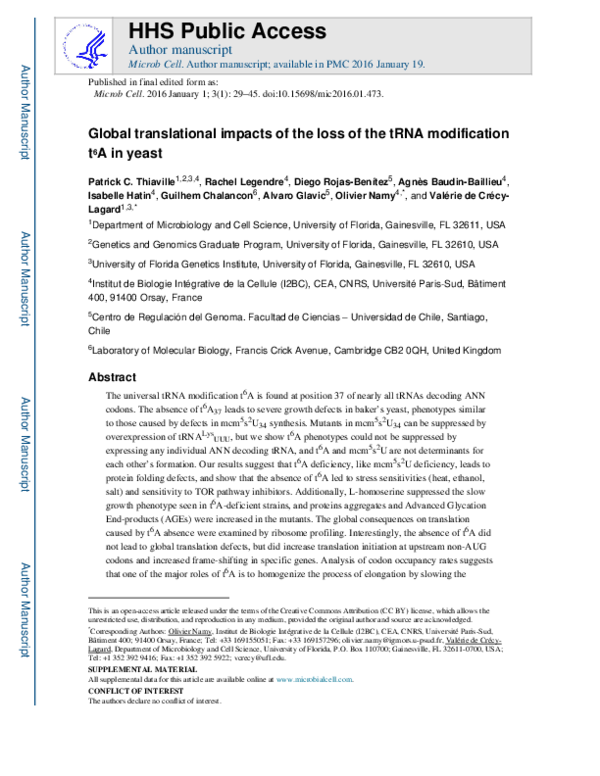 (PDF) Global translational impacts of the loss of the tRNA modification ...