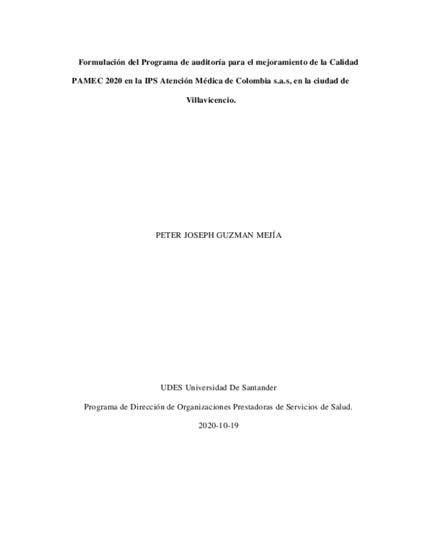 (PDF) Formulación del Programa de auditoría para el mejoramiento de la ...