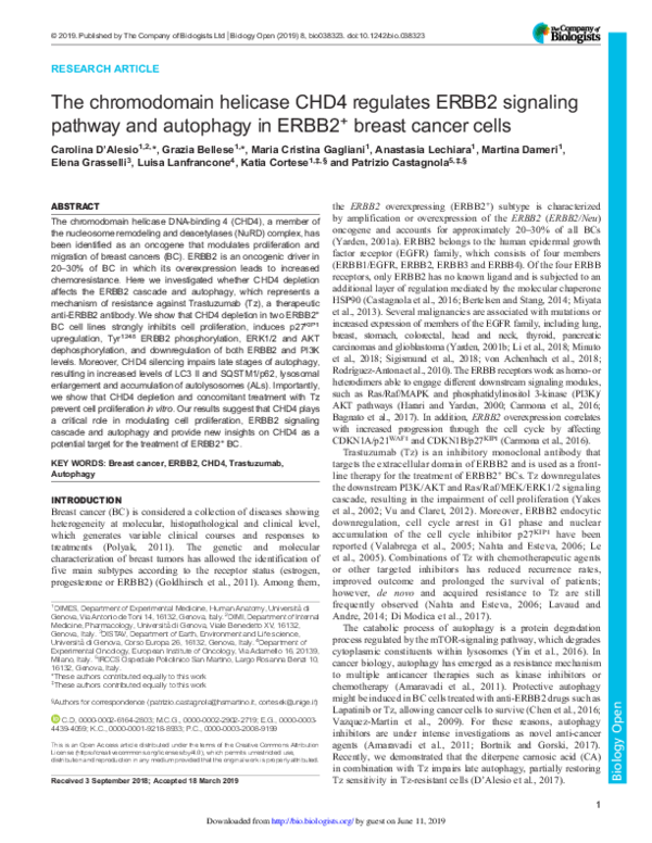 (PDF) The chromodomain helicase CHD4 regulates ERBB2 signaling pathway ...