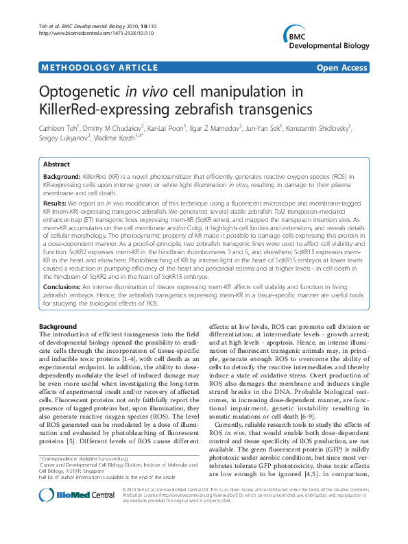 (PDF) Optogenetic in vivo cell manipulation in KillerRed-expressing ...