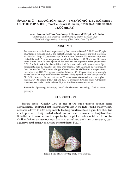 (PDF) Spawning induction and embryonic development of the top shell, Trochus conus (Gmelin, 1790 ...