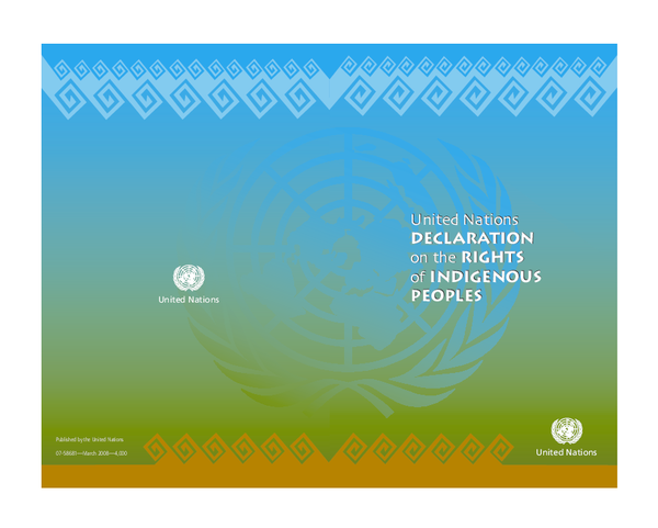 (PDF) MACN-R000000202 United Nations Declaration on the Rights of ...