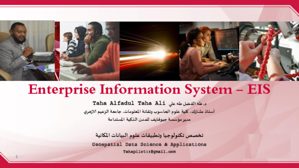 (PDF) Enterprise Information System - EIS Concepts
