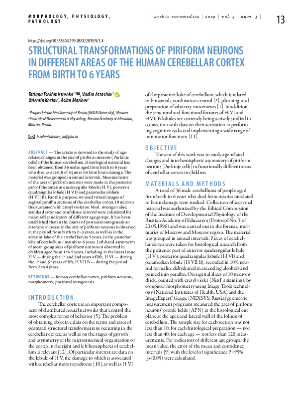 (PDF) Structural transformations of piriform neurons in different areas ...