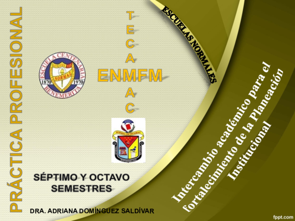 (PDF) INTERCAMBIO ACADÉMICO ENMFM-NORMAL TECAMAC