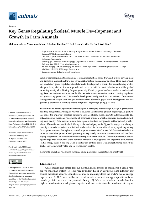 (PDF) Key Genes Regulating Skeletal Muscle Development and Growth in ...