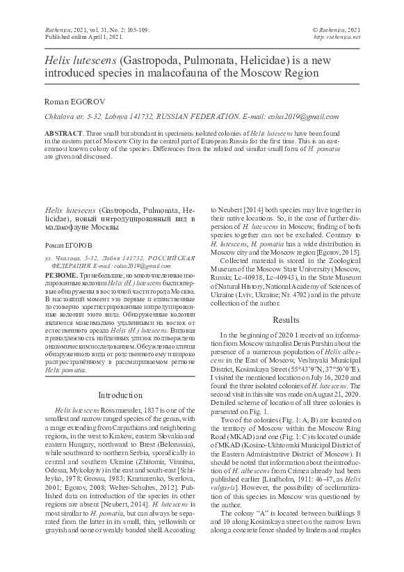 (PDF) Helix (H.) lutescens Rossmaessler, 1837 (Gastropoda, Pulmonata ...
