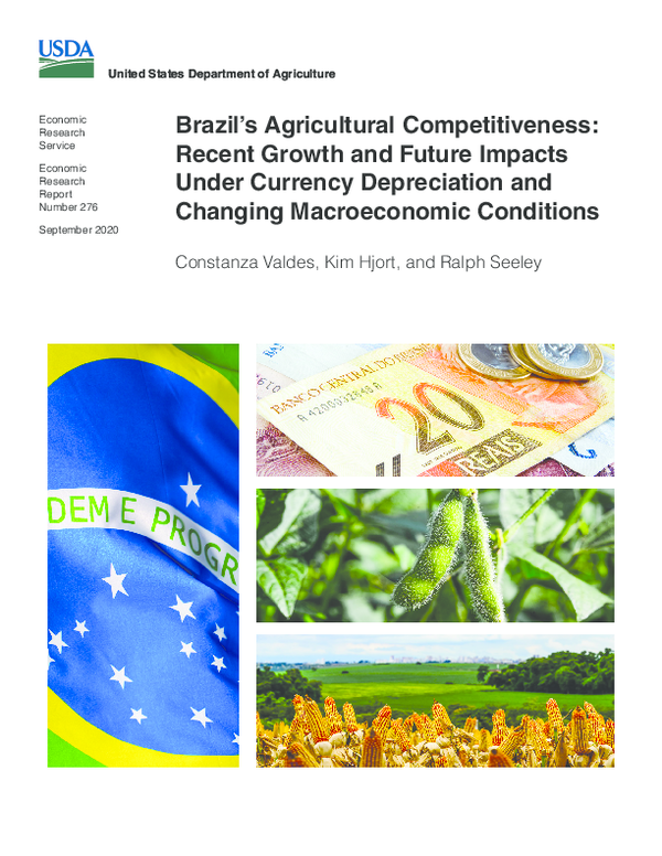 (PDF) Brazil's Agricultural Competitiveness: Recent Growth and Future ...