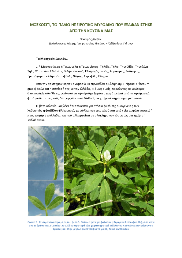(PDF) ΜΟΣΧΟΣΙΤΙ, ΤΟ ΠΑΛΙΟ ΗΠΕΙΡΩΤΙΚΟ ΜΥΡΩΔΙΚΟ ΠΟΥ ΕΞΑΦΑΝΙΣΤΗΚΕ ΑΠΟ ΤΗΝ ...
