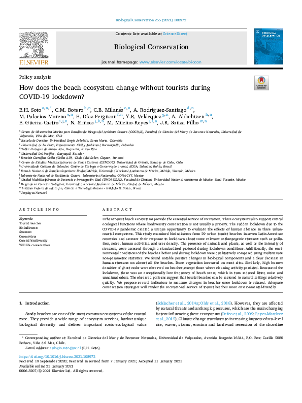 (PDF) How does the beach ecosystem change without tourists during COVID ...