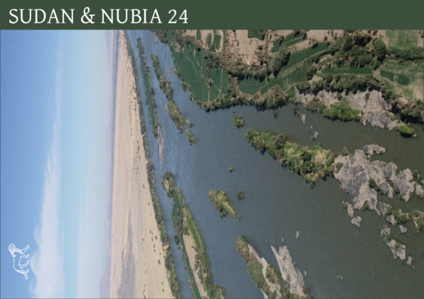 (PDF) 2021 The archaeological site of Damboya in the Shendi reach ...