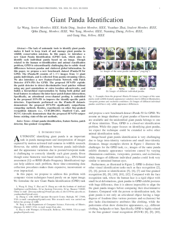 (PDF) Giant Panda Identification