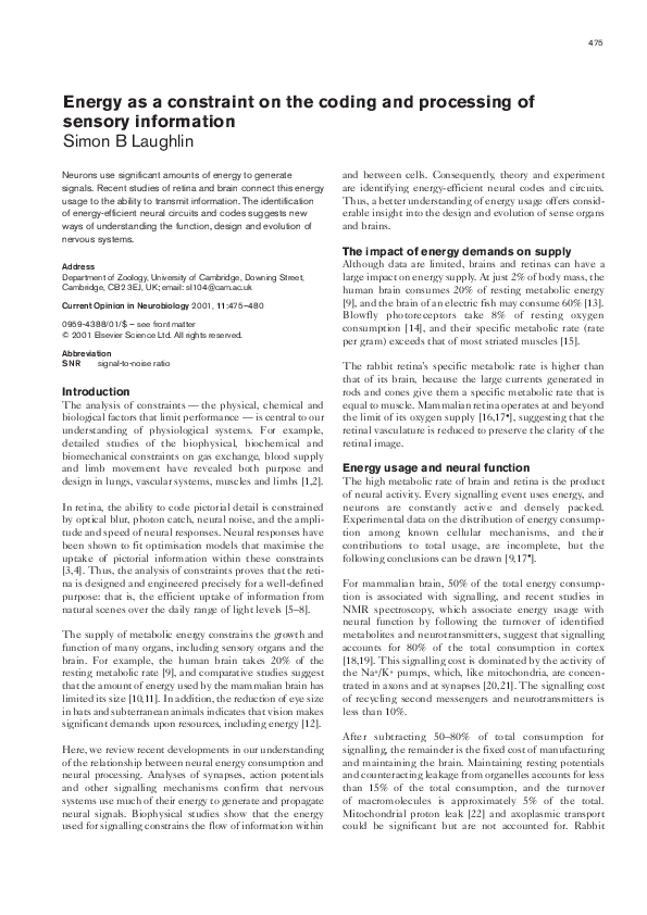 (PDF) Energy as a constraint on the coding and processing of sensory information