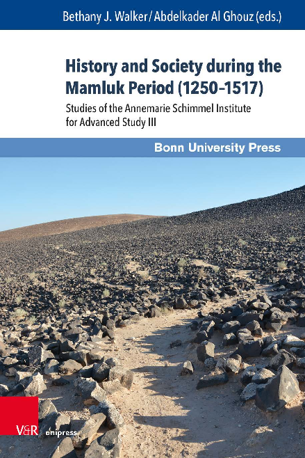 (PDF) History and Society during the Mamluk Period (1250-1517)