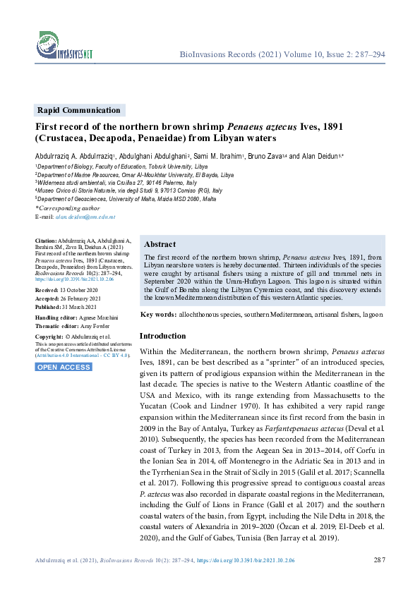 (PDF) First record of the northern brown shrimp Penaeus aztecus Ives ...