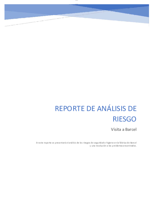 (PDF) REPORTE DE ANÁLISIS DE RIESGO Visita a Barcel