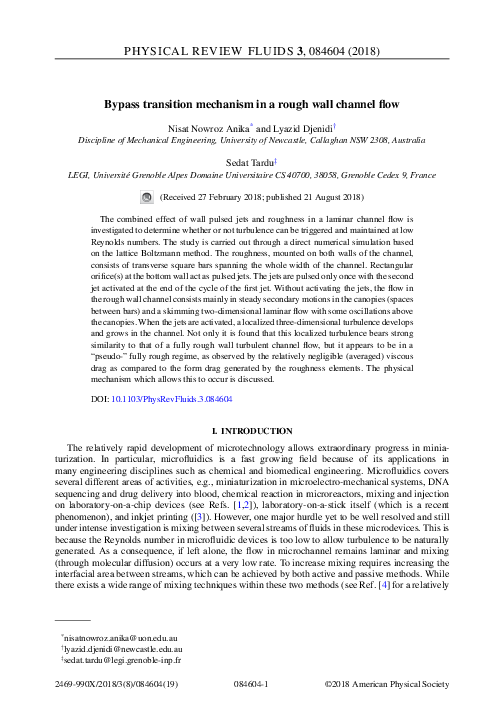 (PDF) Bypass transition mechanism in a rough wall channel flow