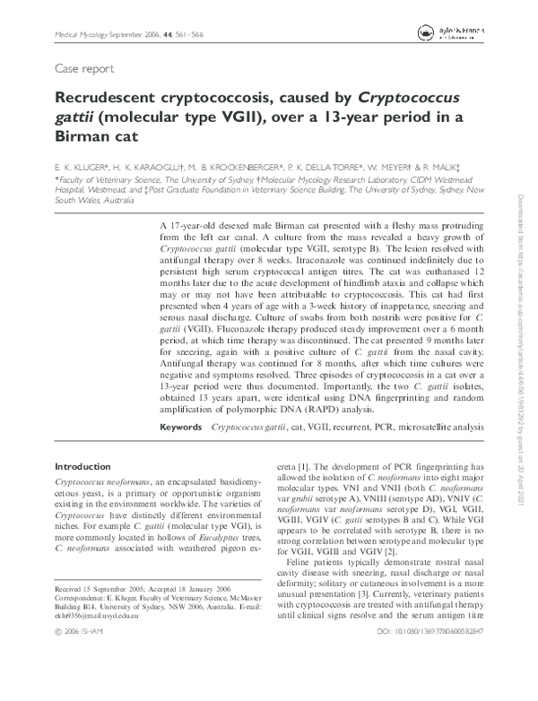 (PDF) Recrudescent cryptococcosis, caused by Cryptococcus gattii ...