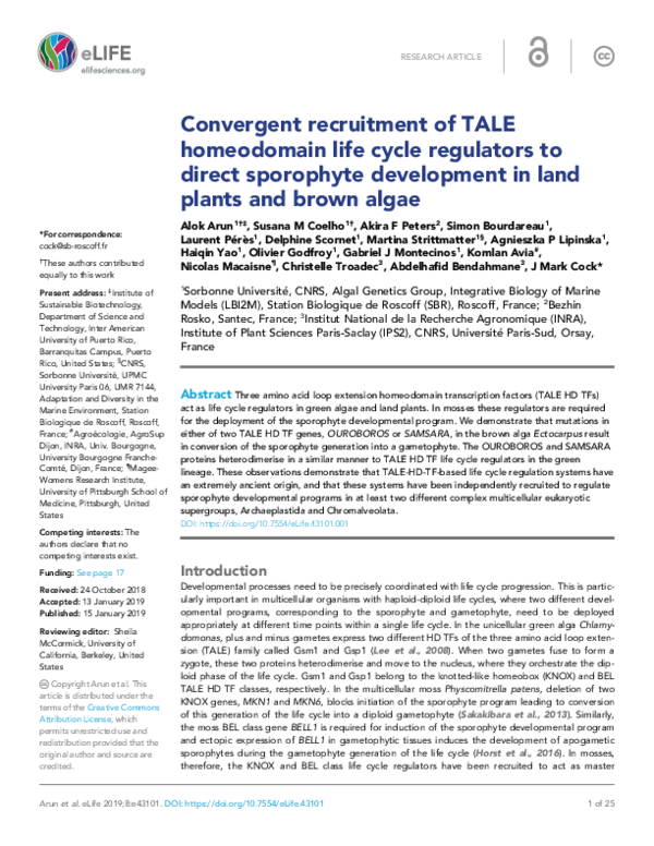 (PDF) Convergent recruitment of TALE homeodomain life cycle regulators ...