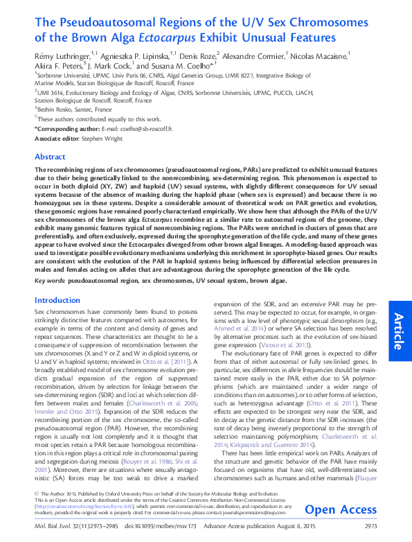 Pdf The Pseudoautosomal Regions Of The U V Sex Chromosomes Of The Brown Alga Ectocarpus