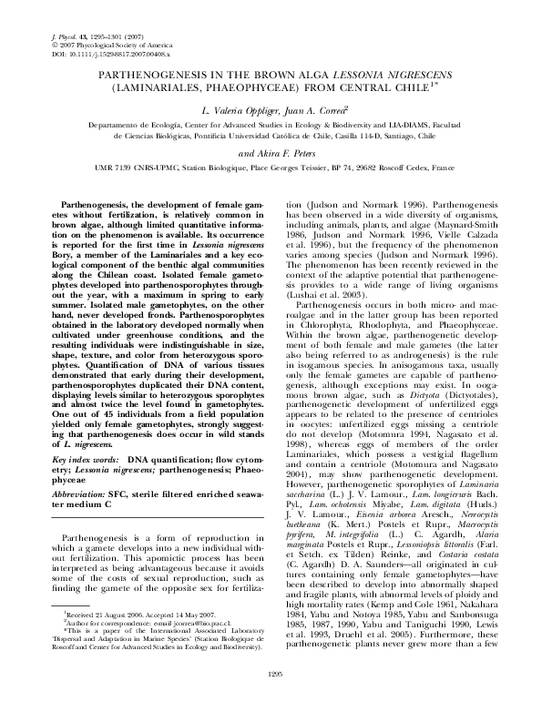 (PDF) Parthenogenesis in the brown alga Lessonia nigrescens ...