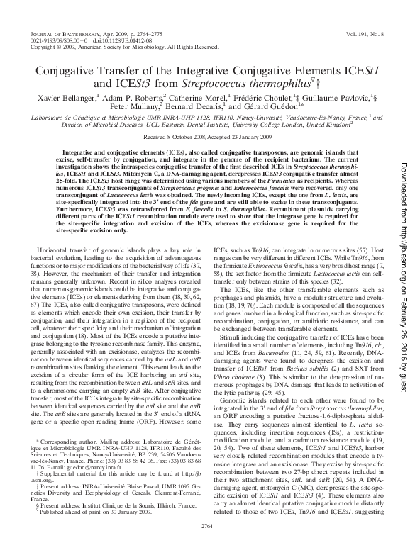 (PDF) Conjugative Transfer of the Integrative Conjugative Elements ...
