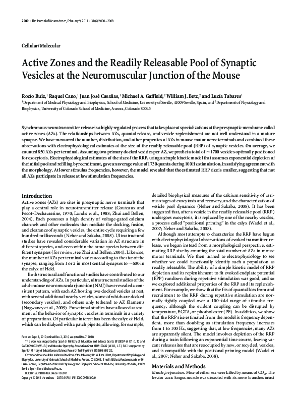 (PDF) Active Zones and the Readily Releasable Pool of Synaptic Vesicles ...