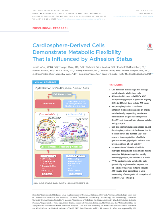 (PDF) Cardiosphere-Derived Cells Demonstrate Metabolic Flexibility That ...