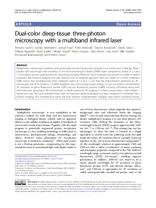 (PDF) Dual-color deep-tissue three-photon microscopy with a multiband ...