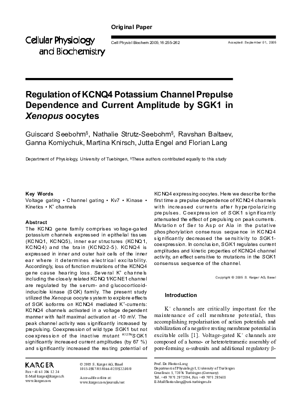 (PDF) Regulation of KCNQ4 Potassium Channel Prepulse Dependence and ...