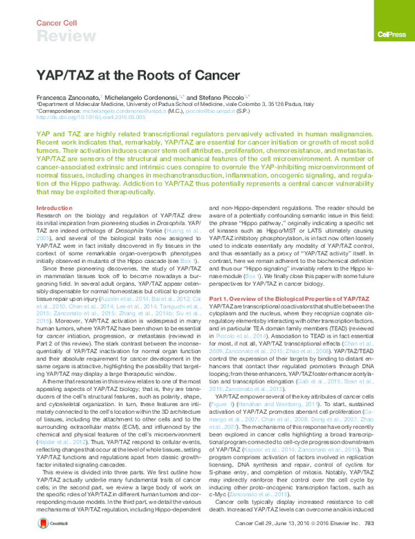(PDF) YAP/TAZ at the Roots of Cancer