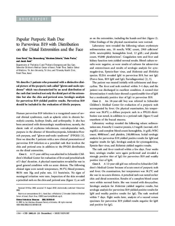 (PDF) Papular Purpuric Rash Due to Parvovirus B19 with Distribution on ...